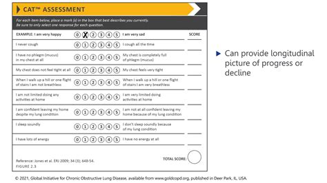 Copd Visual Toolkit Slidespptx
