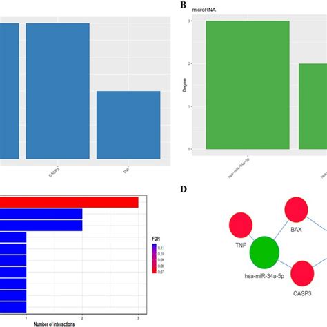 The Mirnagene Regulatory Network Molecular Pathways Diseases And Download Scientific