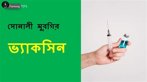সোনালী মুরগির ভ্যাকসিন Sonali Murgir Vaccine মুরগির ভ্যাকসিন তালিকা Youtube
