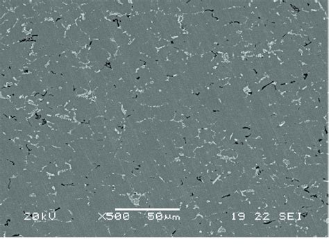 Characteristic Microstructure After Hot Rolling Of The Material With A Download Scientific