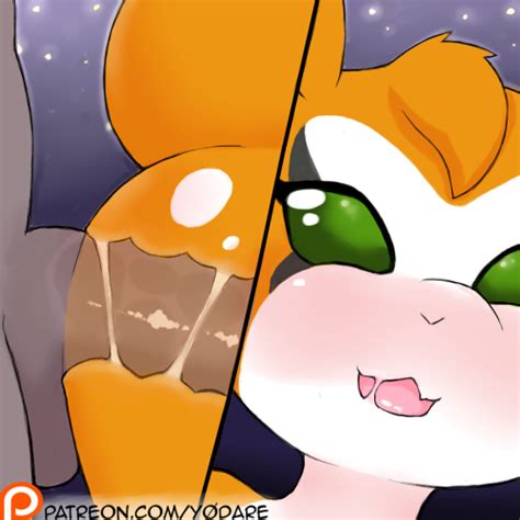 Rule 34 2018 Blush Dust An Elysian Tail Erection Fidget Hanage1 Internal Male Mammal Nimbat