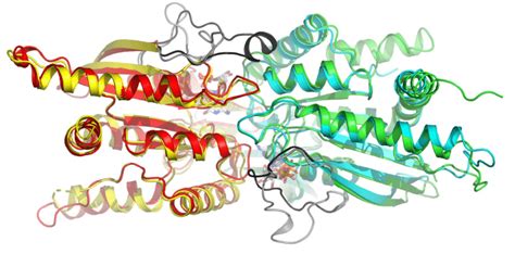 Superposition Of G Interface Heterodimers The Sept2 Sept11 Dimer Is Download Scientific