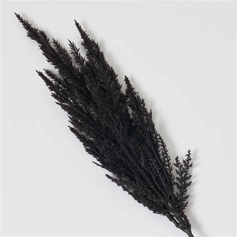 Midnight Black Large Pampas Grass Plume Single Faux Wired Stem Spray