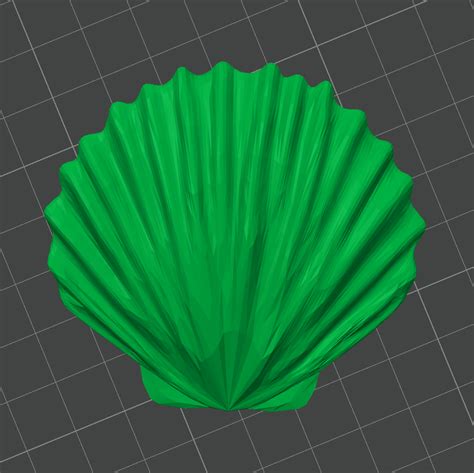 Stl File Sea Shell Clam 🐚・3d Printable Model To Download・cults