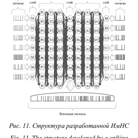 A Spiking Neural Network Structure Download Scientific Diagram