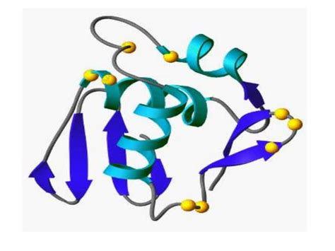 Dna Binding Protein Motif Pptx Chemistry Science