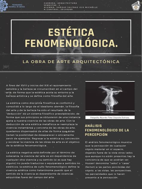 Estética Fenomenológica Pdf Estética Percepción