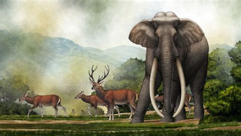 26 Forgotten Elephant Species That Were Bigger Bolder And Stranger