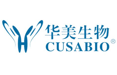 Recombinant Human Interleukin 17a Il17a T26a Active 其他 武汉华美生物