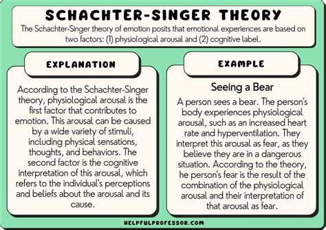 Schachter Singer Theory Examples And Definition 2025