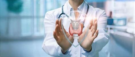 Endocrine System Functions And Disorders