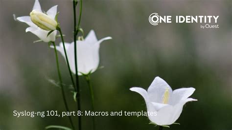 Syslog Ng 101 Part 8 Macros And Templates Dt Asia