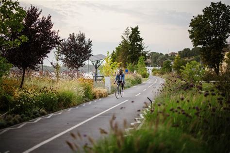 Aimsun On Linkedin Bicycle Safety Traffic Simulation