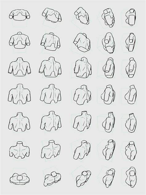 人体背部各角度透视参考！4嘟嘟画画来自小红书网页版 花瓣网