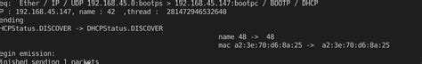 GitHub Idanmaman2 Dhcp Starvation
