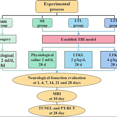 Experimental Flowchart Color Figure Can Be Viewed At Download