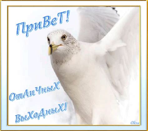 Привет отличных выходных Выходные Поздравительные открытки Галерейка