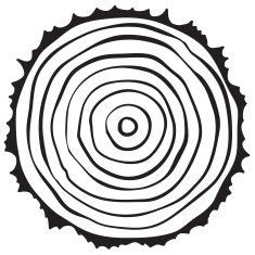 Geef Kleur Aan De Jaarringen Ze Vertellen Iets Over Jouw Leven Of Over