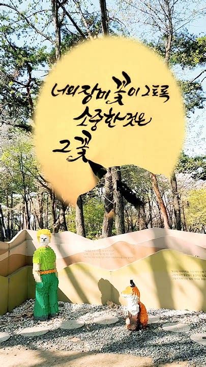 어린왕자05 장미꽃이소중한것은 어린왕자 장미꽃 소중한인연 Calligraphy Shorts44 Youtube
