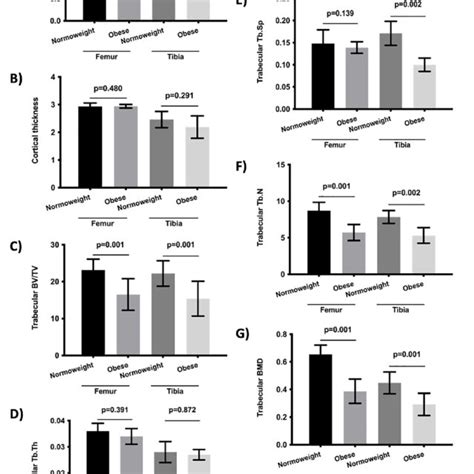 Comparison Of Bone Morphometry Parameters Between Normoweight And Obese