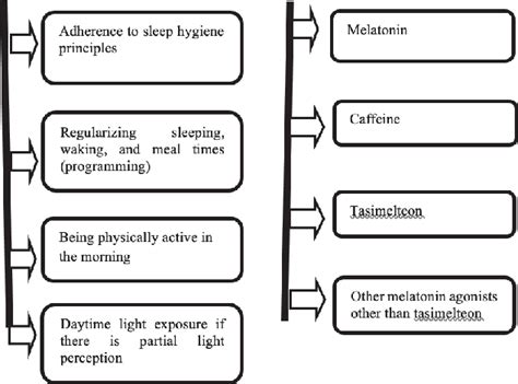 Figure 2 From The Effect Of Blindness On Biological Rhythms And The Consequences Of Circadian