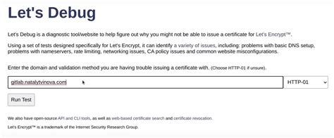 Gitlab CI CD Pipelines With MicroK S Ubuntu