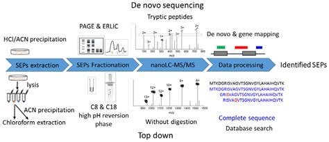 Improved Identification Of Small Open Reading Frames Encoded Peptides