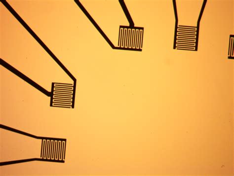 Interdigitated Electrode Array Chips Platypus Technologies