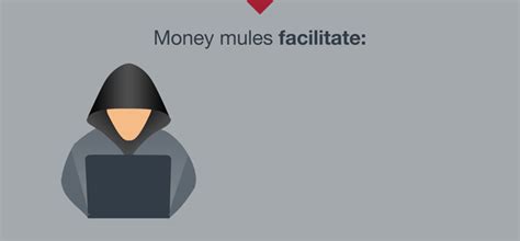 Money Mules Identity Protection Equifax Uk