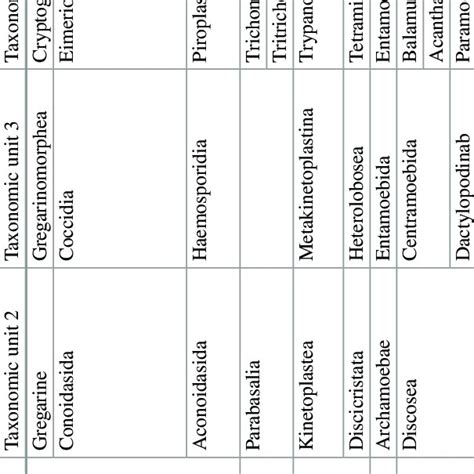 Current Taxonomy Of Protists Covered In This Book Adl Et Al 2012 Download Scientific Diagram