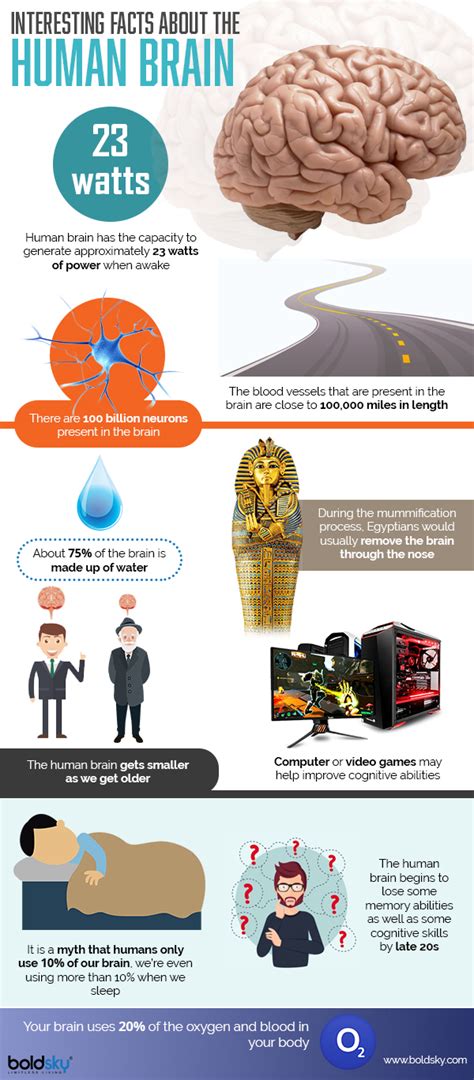 8 Effective Brain Exercises To Improve Your Memory