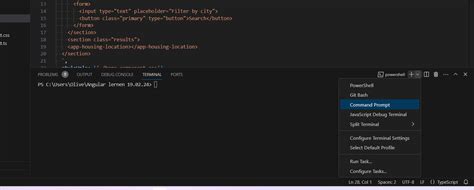 Vs Code Im Terminal Direkt Cmd Ausführen Programmiersprache Visual
