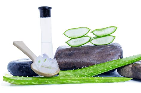 흰색 배경에 분리 된 슬라이스 잎과 오일 튜브가있는 나무 숟가락에 알로에 베라 젤 0명에 대한 스톡 사진 및 기타 이미지 0명 건강관리와 의술 광고 Istock