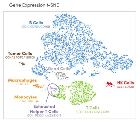 A Data Tale Finding The Story In Your Single Cell Gene Expression Data 10x Genomics