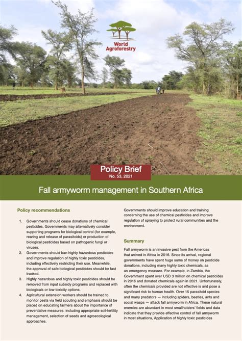 Fall Armyworm Management In Southern Africa