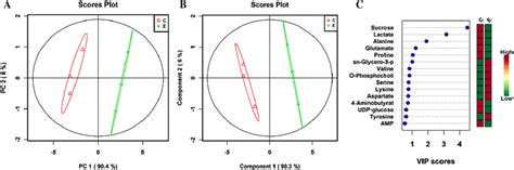 PCA Score Plot A PLS DA Score Plot B And VIP Scores C Of Download Scientific Diagram