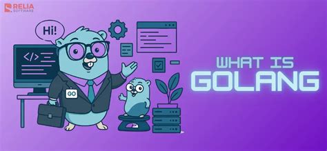 What Is Golang A Beginners Guide To A Versatile Language Relia Software