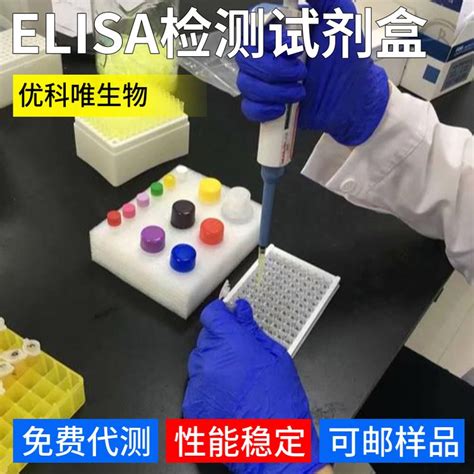 人α平滑肌肌动蛋白α Smaelisa试剂盒 Human α Sma Elisa Kit