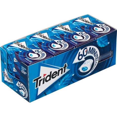 Trident Gum Mint 60 Minutes 16u