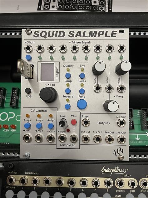 Alm Busy Circuits Squid Sample Reverb