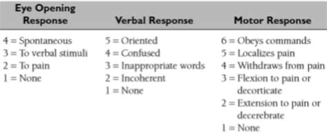 Final EMT Exam Flashcards Quizlet