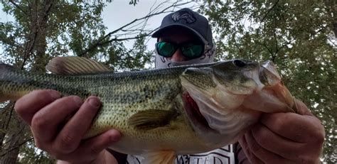 Colorado Bass Fishing Page 2 Western Bass Fishing Bass Fishing Forums
