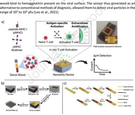 a illustration of silicon nanowire based biosensor for the rapid download scientific diagram