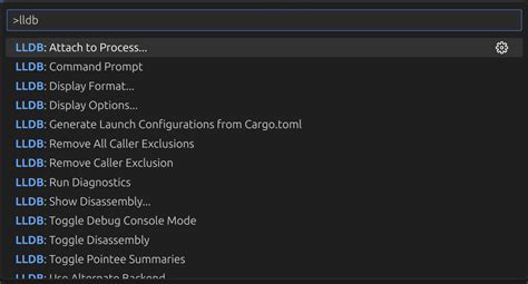 5 Best Vs Code Extensions For Rust Development Sergio Rodrigo Royo Learn How To Code