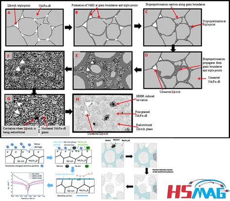 Basic Composition And Microstructure Of Sintered Ndfeb Magnet