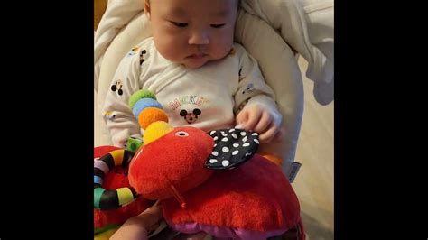 아기코끼리 코야 만져요 Youtube