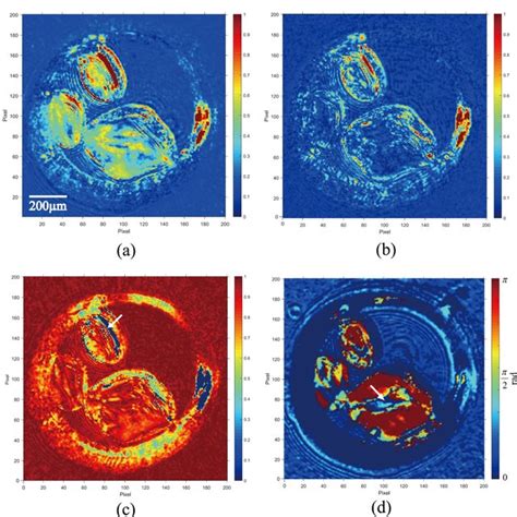 Optical Configuration For The Mueller Matrix Polarization Imaging