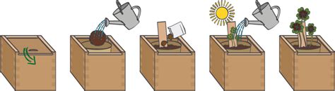 Feel Green Ecobox Czterolistna Koniczyna Bloomling Produkty Dla