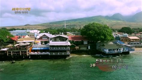 태평양 바다를 바라보며 즐기는 하와이 생선 요리 Youtube