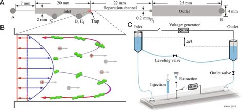 Microfluidic Protocol To Extract And Purify Dna Sciencemission